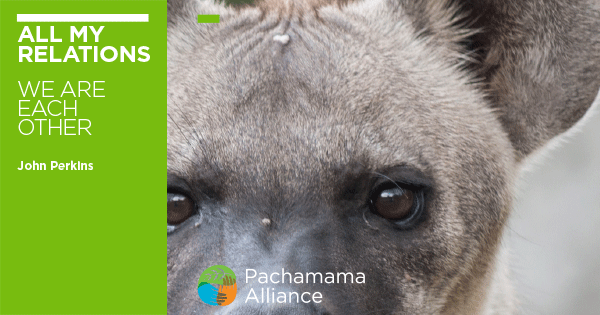 All My Relations | Download the Free E-guide by John Perkins